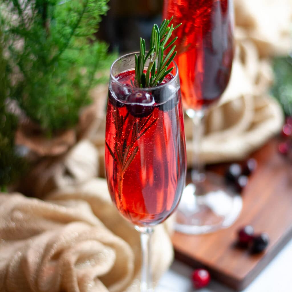 Cranberry Margarita Recipe