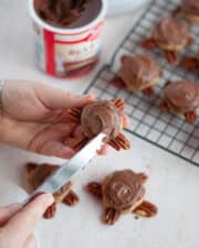 Snappy Turtle Cookies (Vintage Cookie Recipe) - Our Love Language is Food