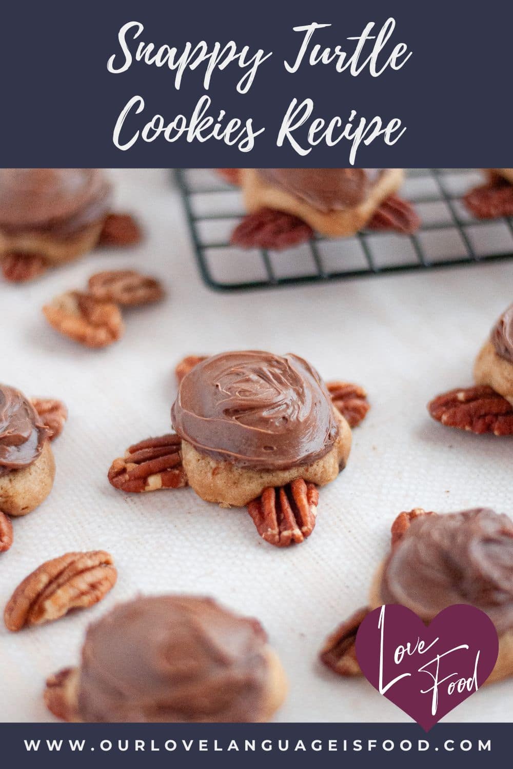 Snappy Turtle Cookies (Vintage Cookie Recipe) - Our Love Language is Food