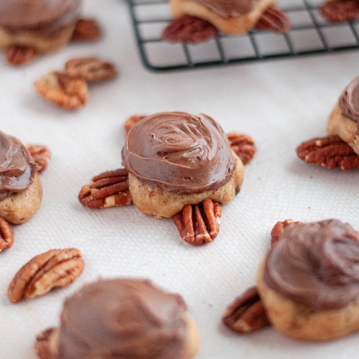 Snappy Turtle Cookies (Vintage Cookie Recipe) - Our Love Language is Food