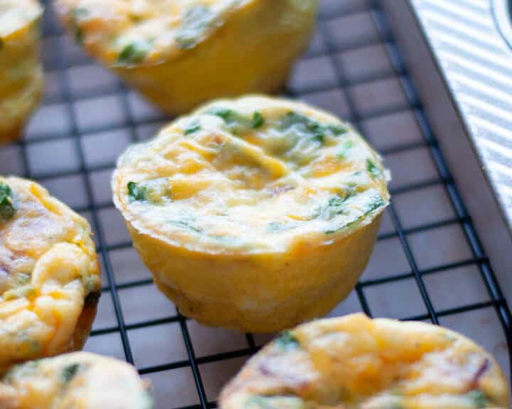 Egg Bites in Oven - Our Love Language is Food