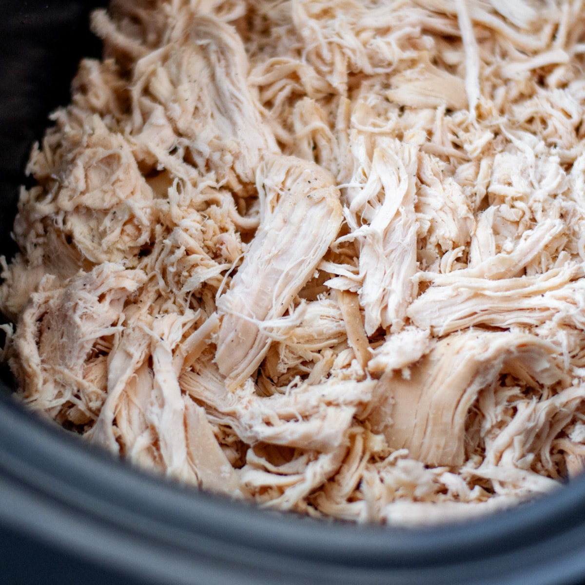 Shredded Chicken in Crockpot (Simple and Versatile!) - Our Love ...