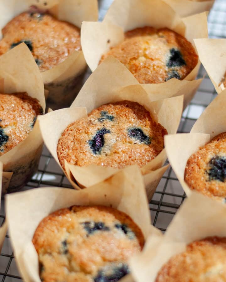 Moist Blueberry Muffin Recipe - Our Love Language is Food